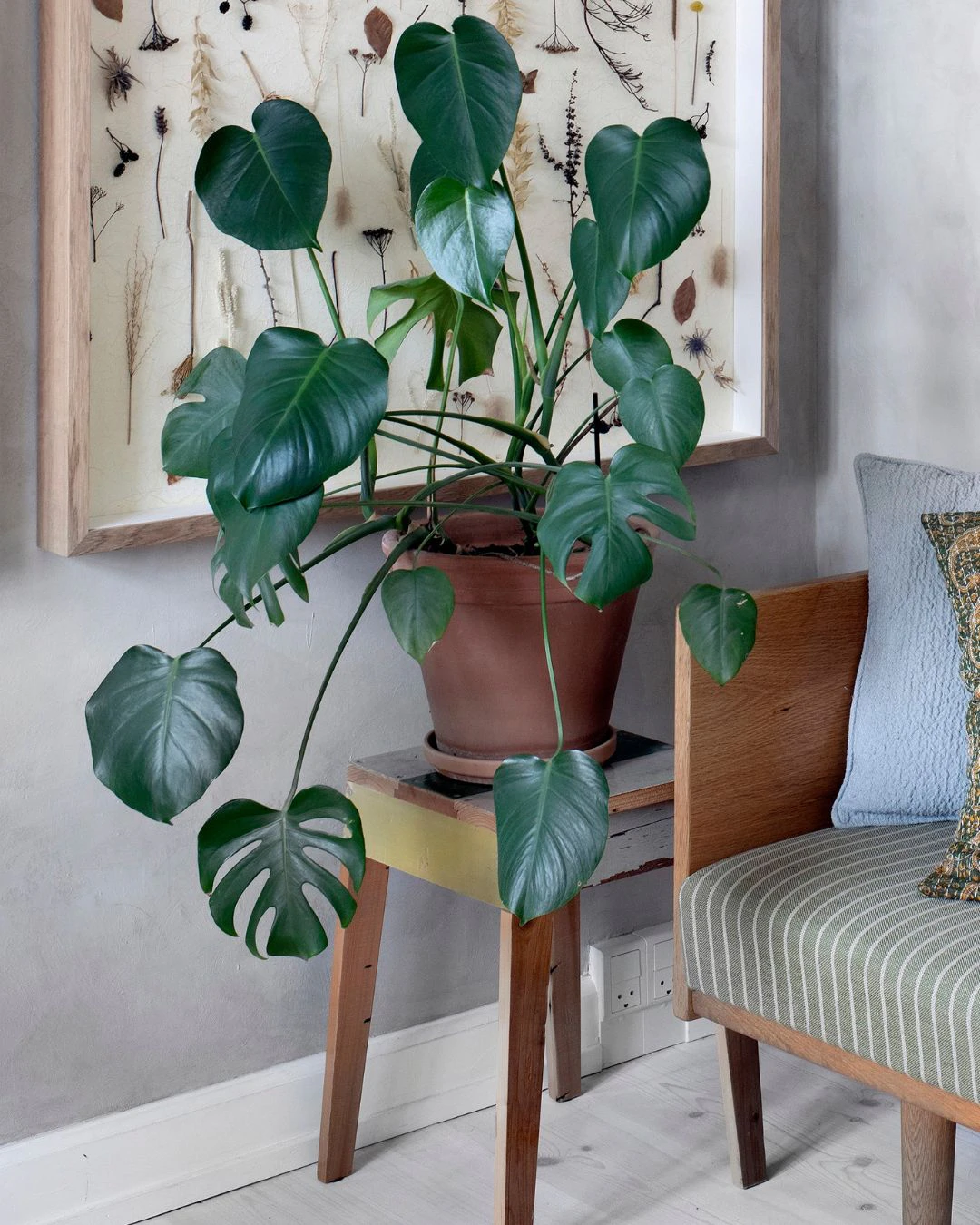 Planter og byggematerialer: Shop genbrug online | ISABELLAS