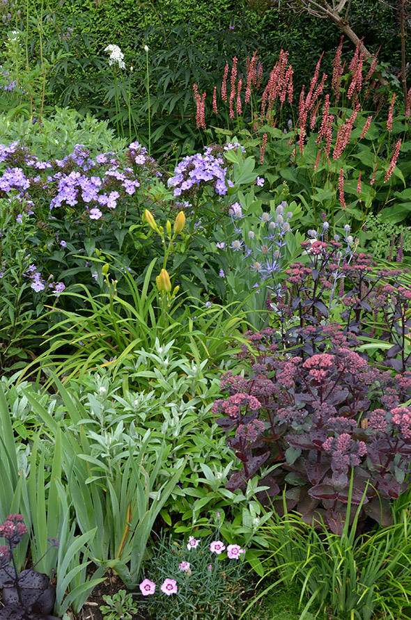 Sådan får du smukke bede | ISABELLAS