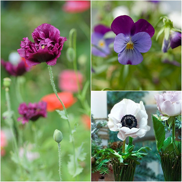 DIY: Lav bedårende blomsterrammer | ISABELLAS